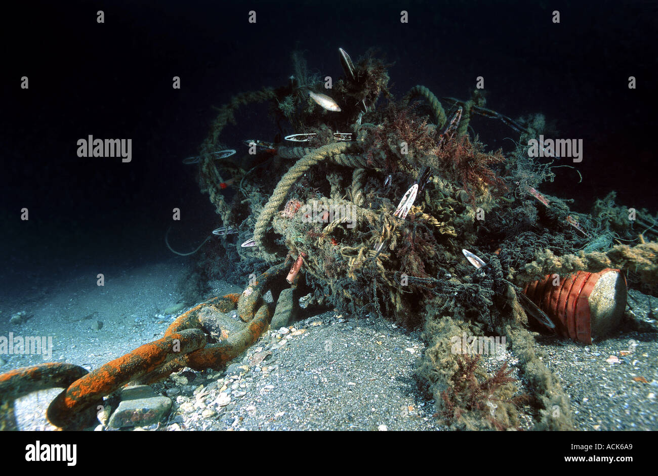 Anchor chain and ropes create artificial reef Mediterranean Stock Photo ...