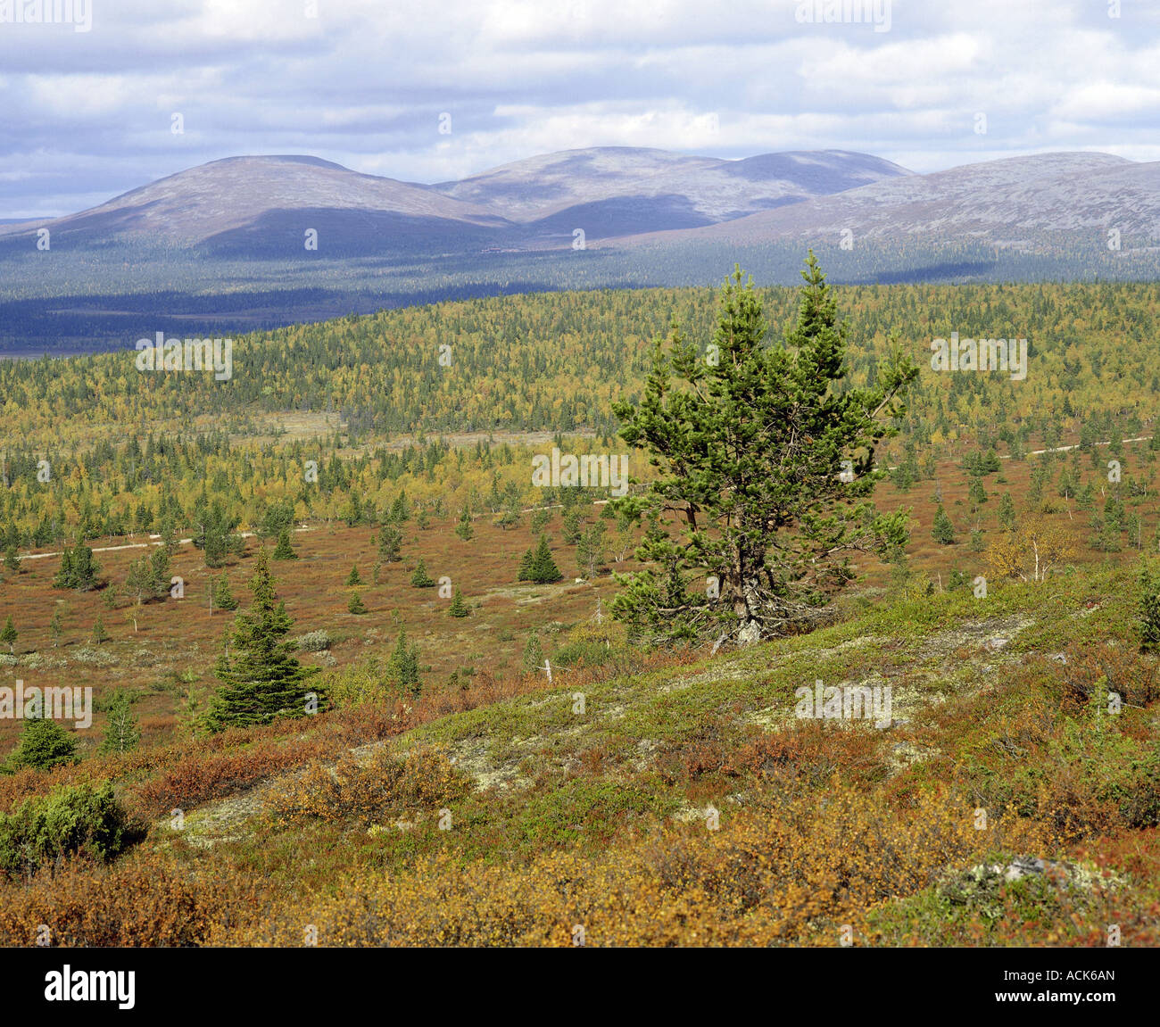 geography / travel, Finland, Palastunturi National Park, landscape ...