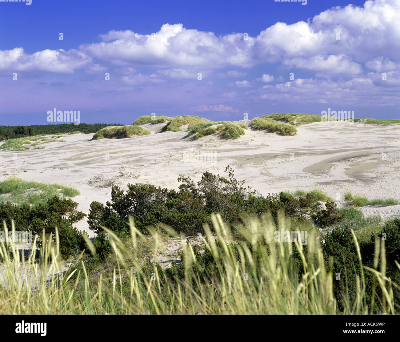 geography / travel, Denmark, landscapes, Juetland, drifting dune ...