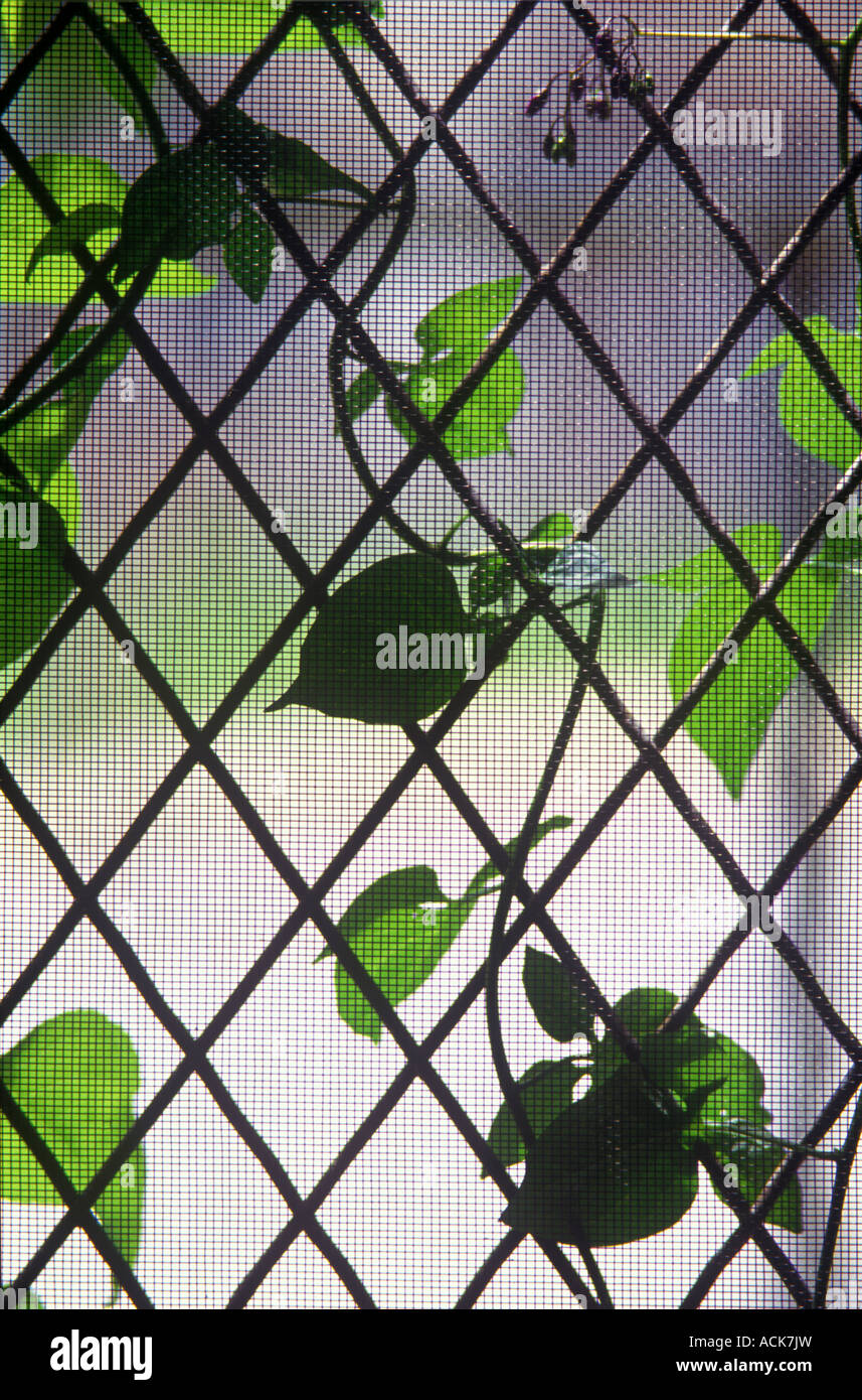 Diamond Vision Screen High Resolution Stock Photography and Images - Alamy