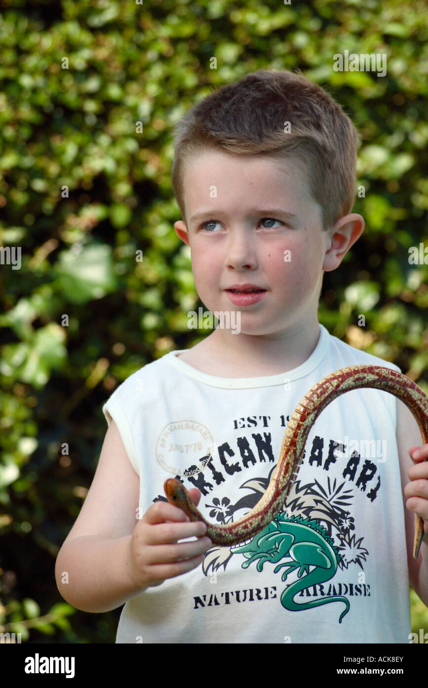 A young boy holding a toy snake Stock Photo - Alamy