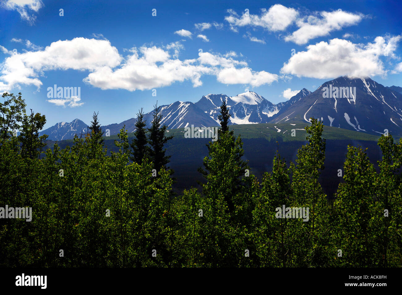 Usa united america alaska far hi-res stock photography and images - Alamy