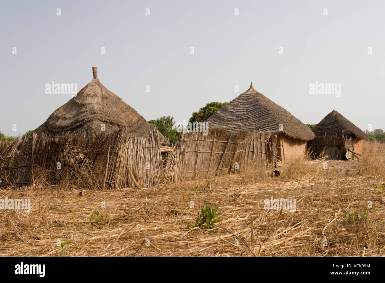 Traditional buildings and compound village near Tendaba Camp The Gambia ...