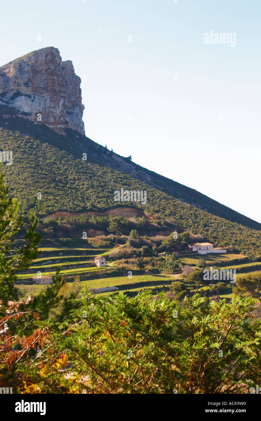 Cassis vineyard wine hi-res stock photography and images - Alamy