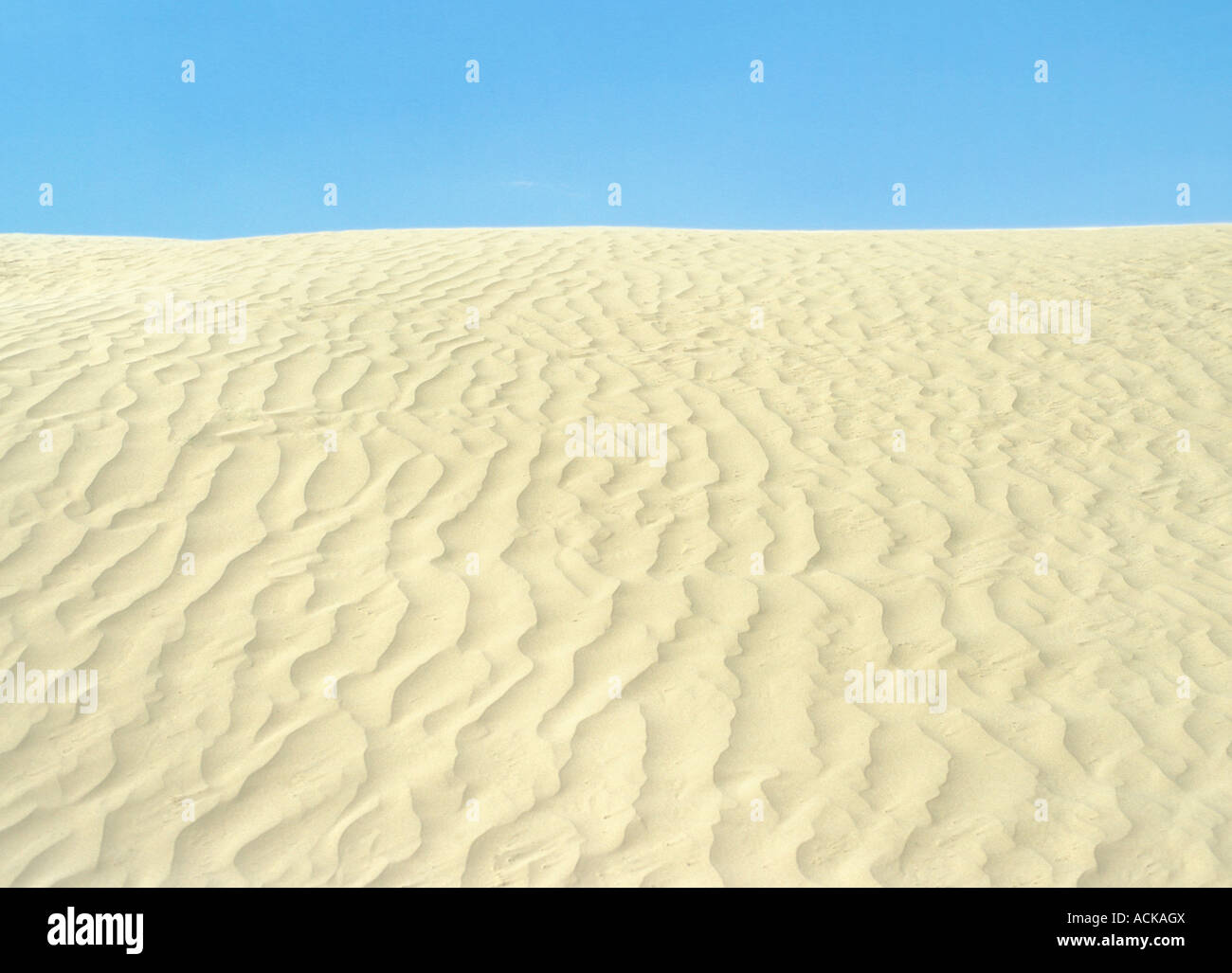 Desert sand dune with ripples and wave patterns Stock Photo - Alamy