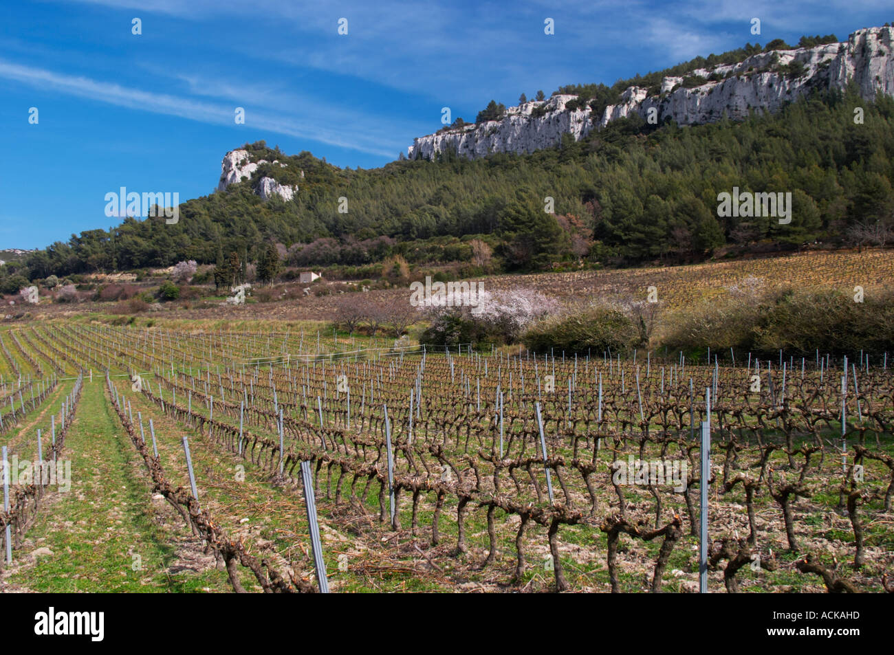 Cordon Royat High Resolution Stock Photography and Images - Alamy