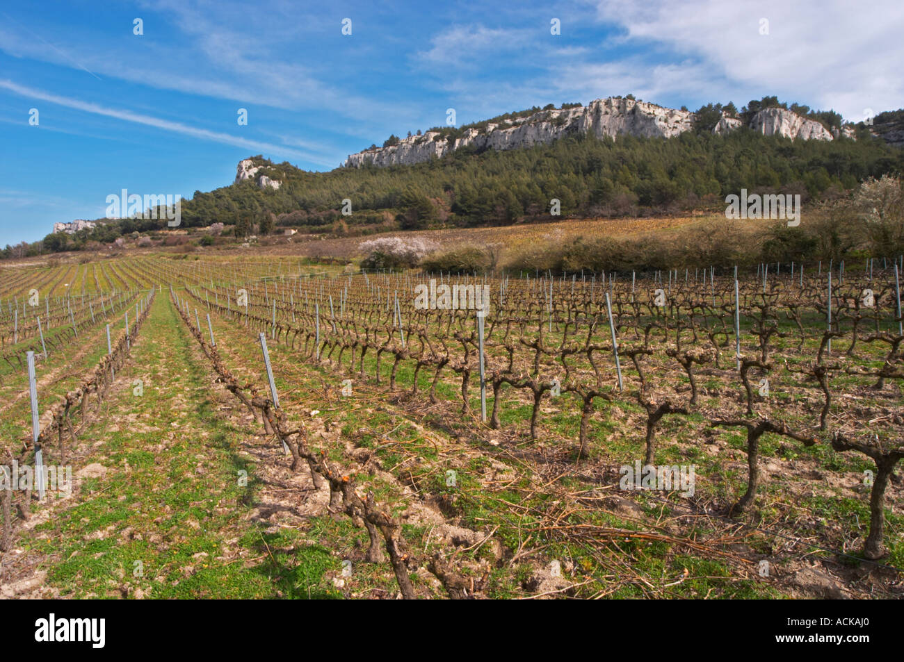 Cordon Royat High Resolution Stock Photography and Images - Alamy