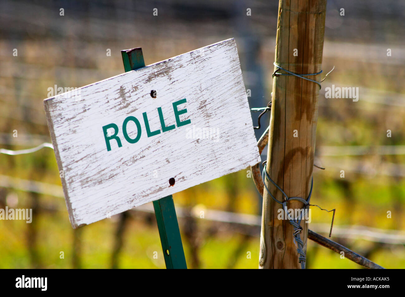 Vermentino sign hi-res stock photography and images - Alamy
