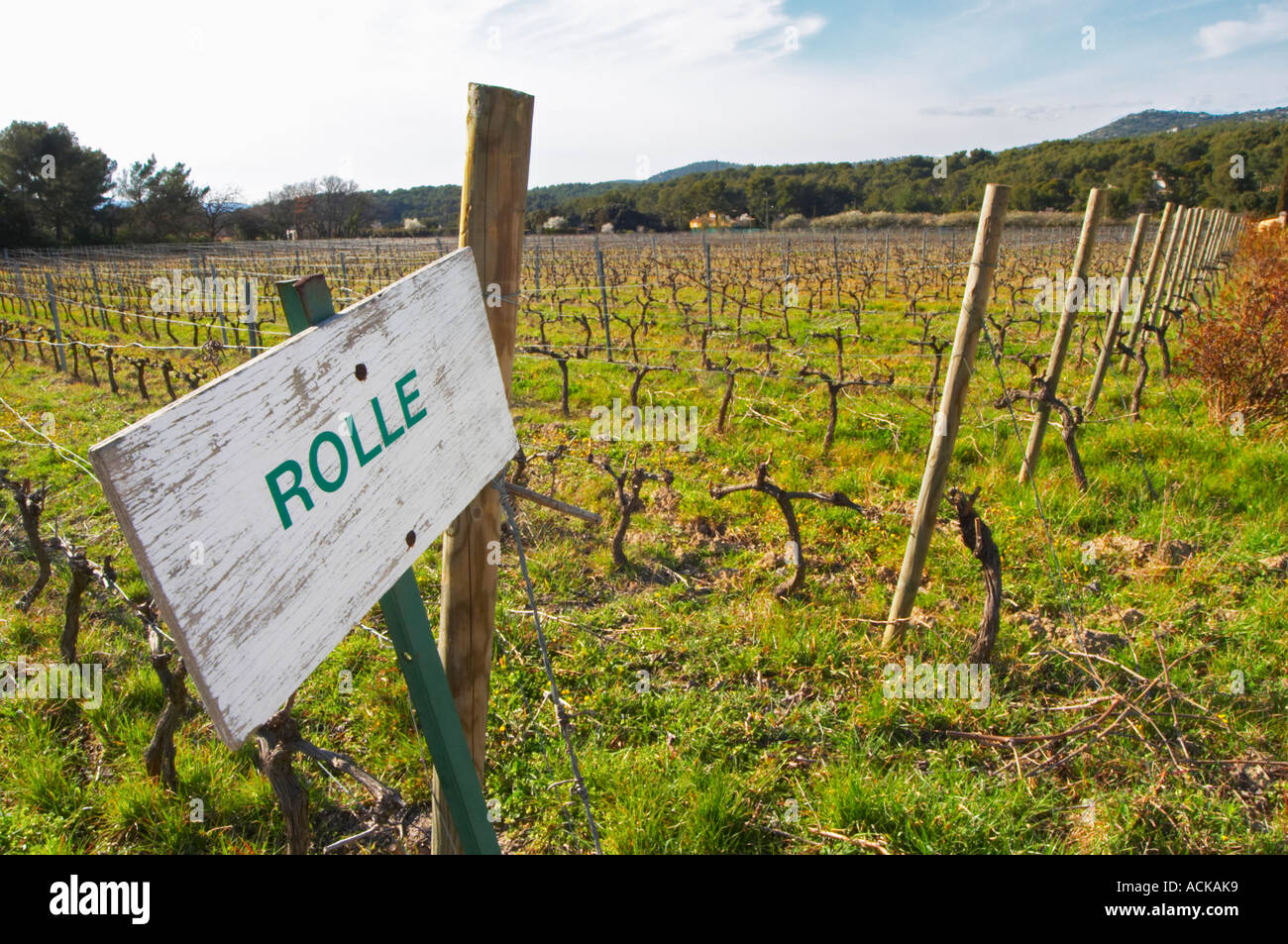 Vermentino sign hi-res stock photography and images - Alamy