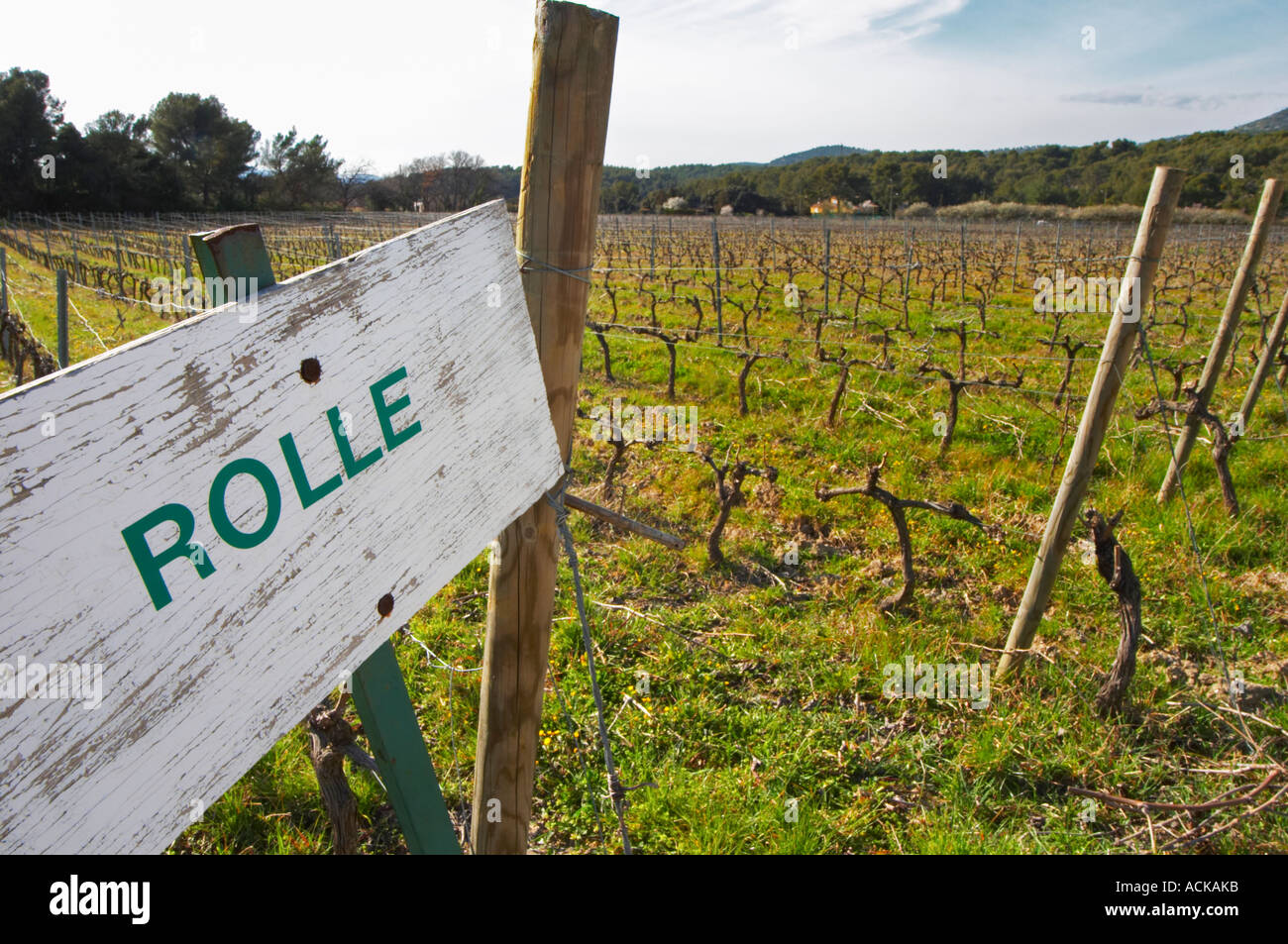 Vermentino sign hi-res stock photography and images - Alamy
