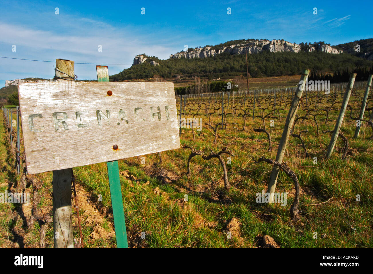 Sun bleached sign in the vineyard saying Grenache Château Barbanau and ...