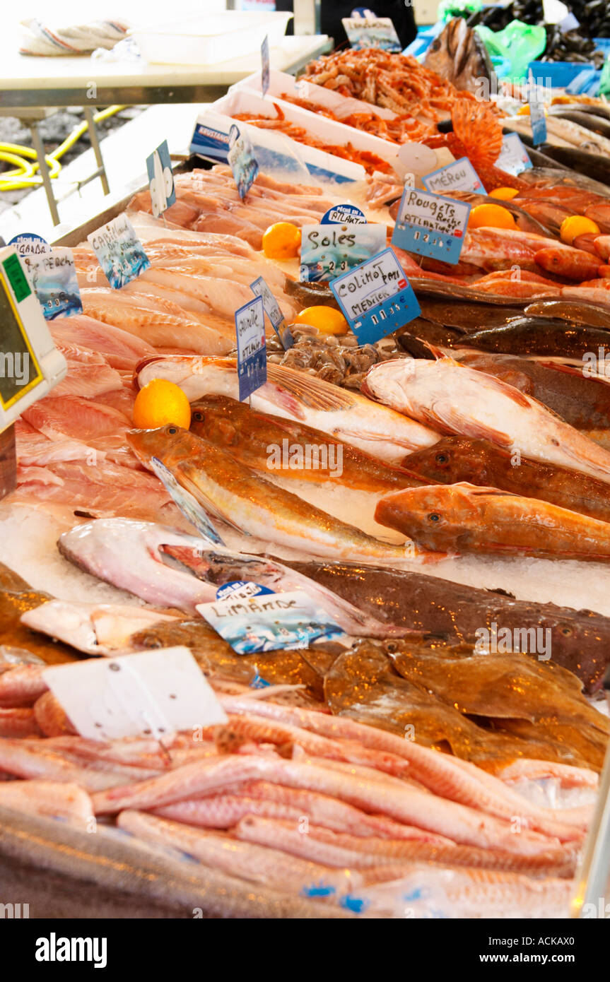 Street market merchant's stall with many different type of fish, fish ...