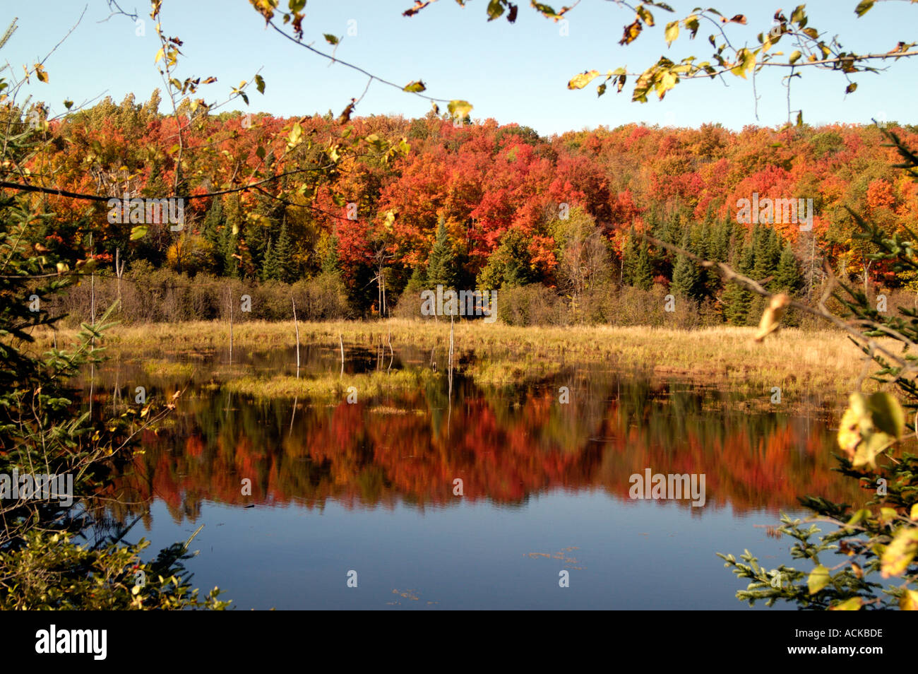 Gatineau park fall leaves hi-res stock photography and images - Alamy