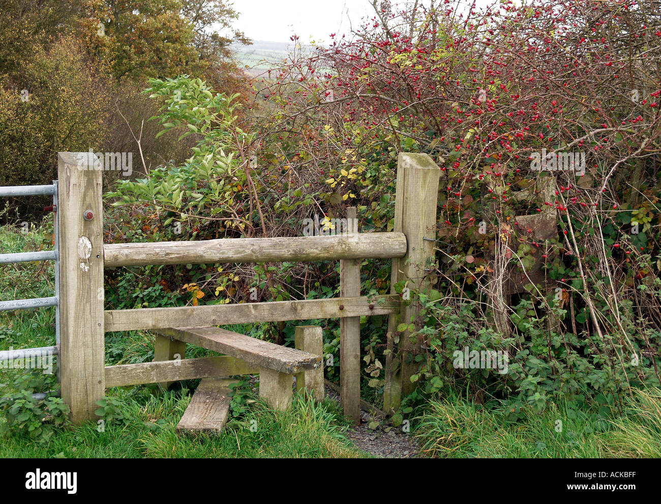 Gate stile and footpath Stock Photo - Alamy