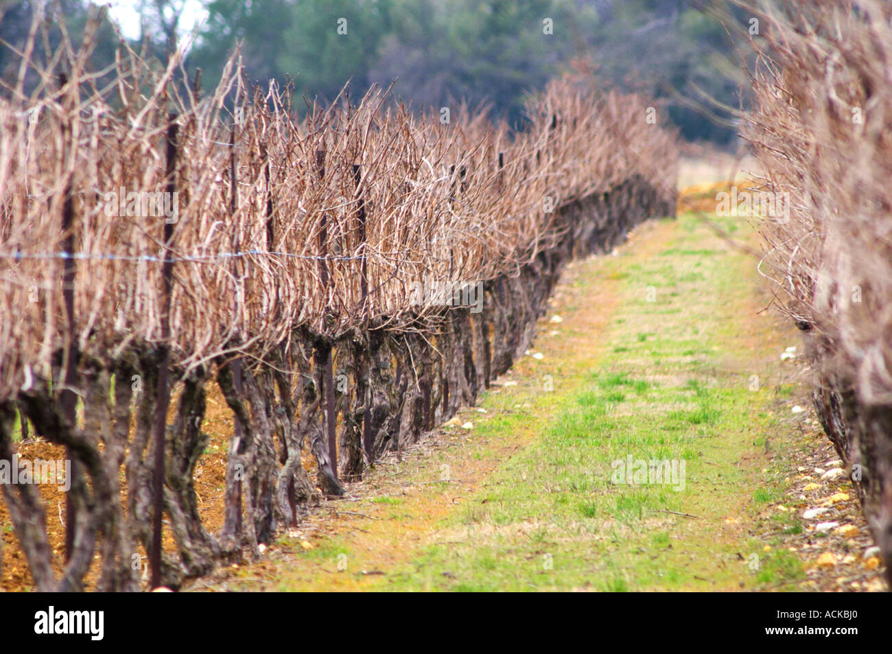 Cordon De Royat High Resolution Stock Photography and Images - Alamy