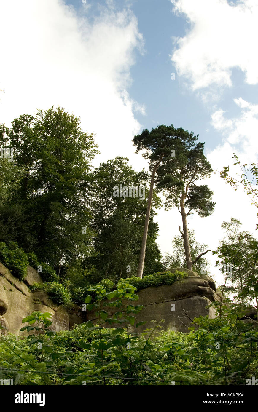 high rocks Royal Tunbridge Wells Kent England UK Stock Photo - Alamy