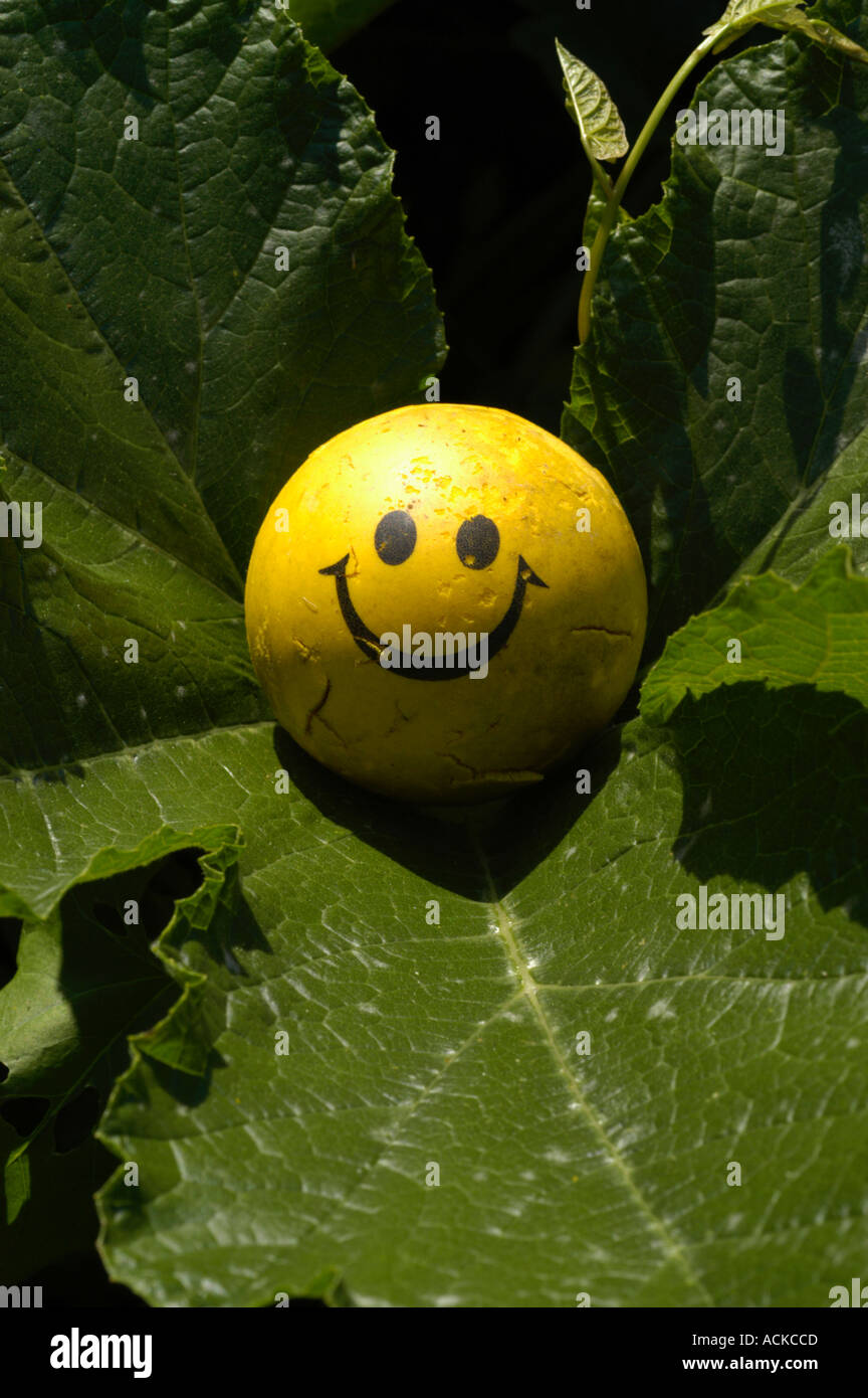 HAPPY FACE LEAF Stock Photo - Alamy