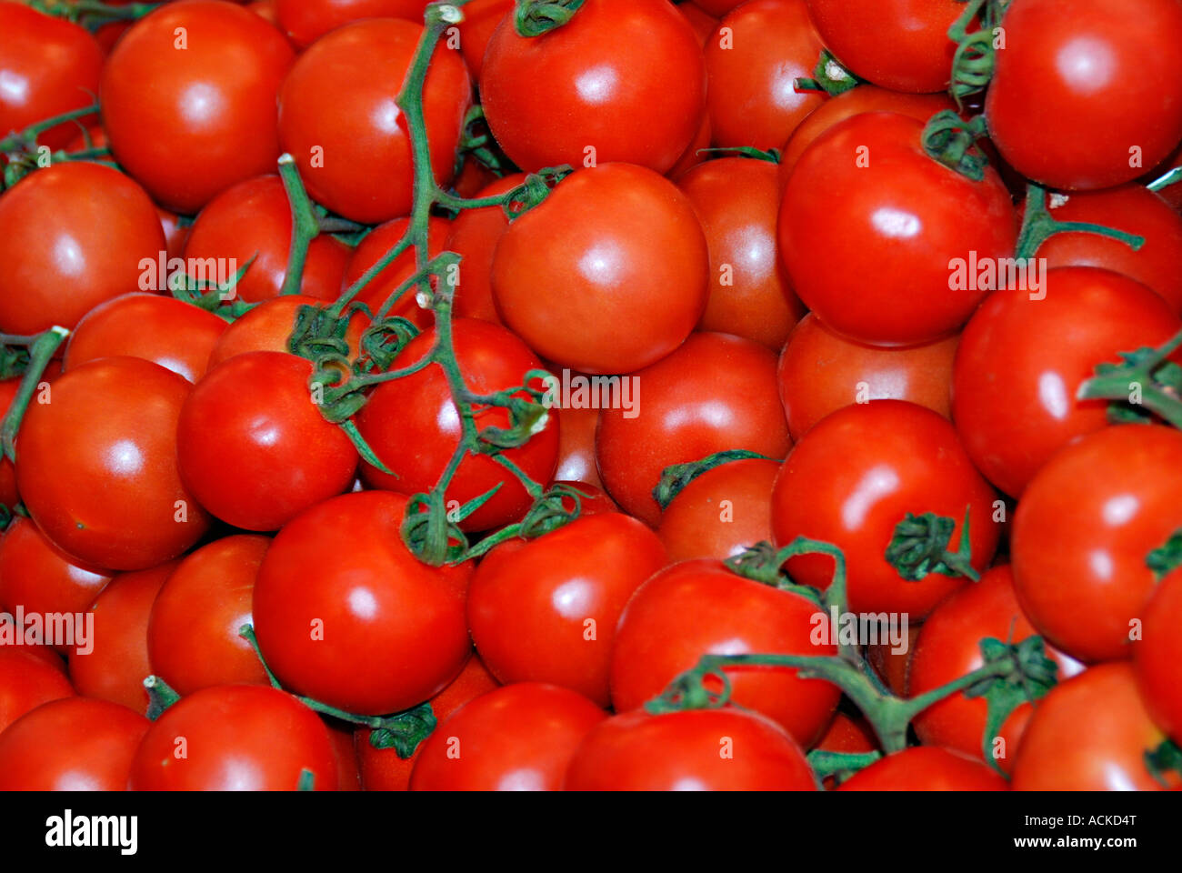 Cherry Tomatoes close up Stock Photo - Alamy