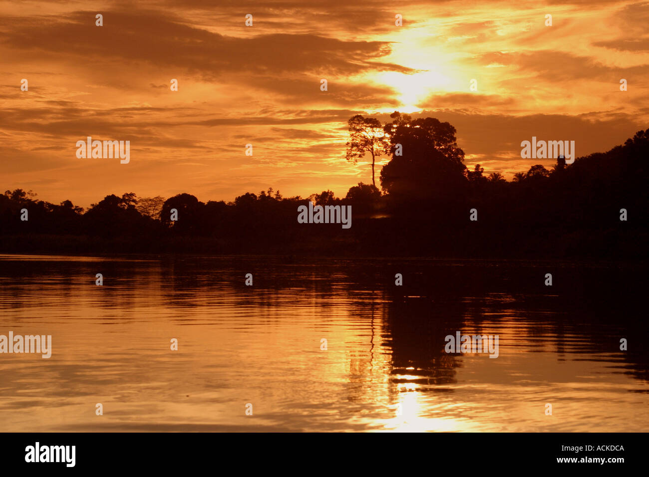 Malaysia Sabah Kinbatangan river Stock Photo - Alamy