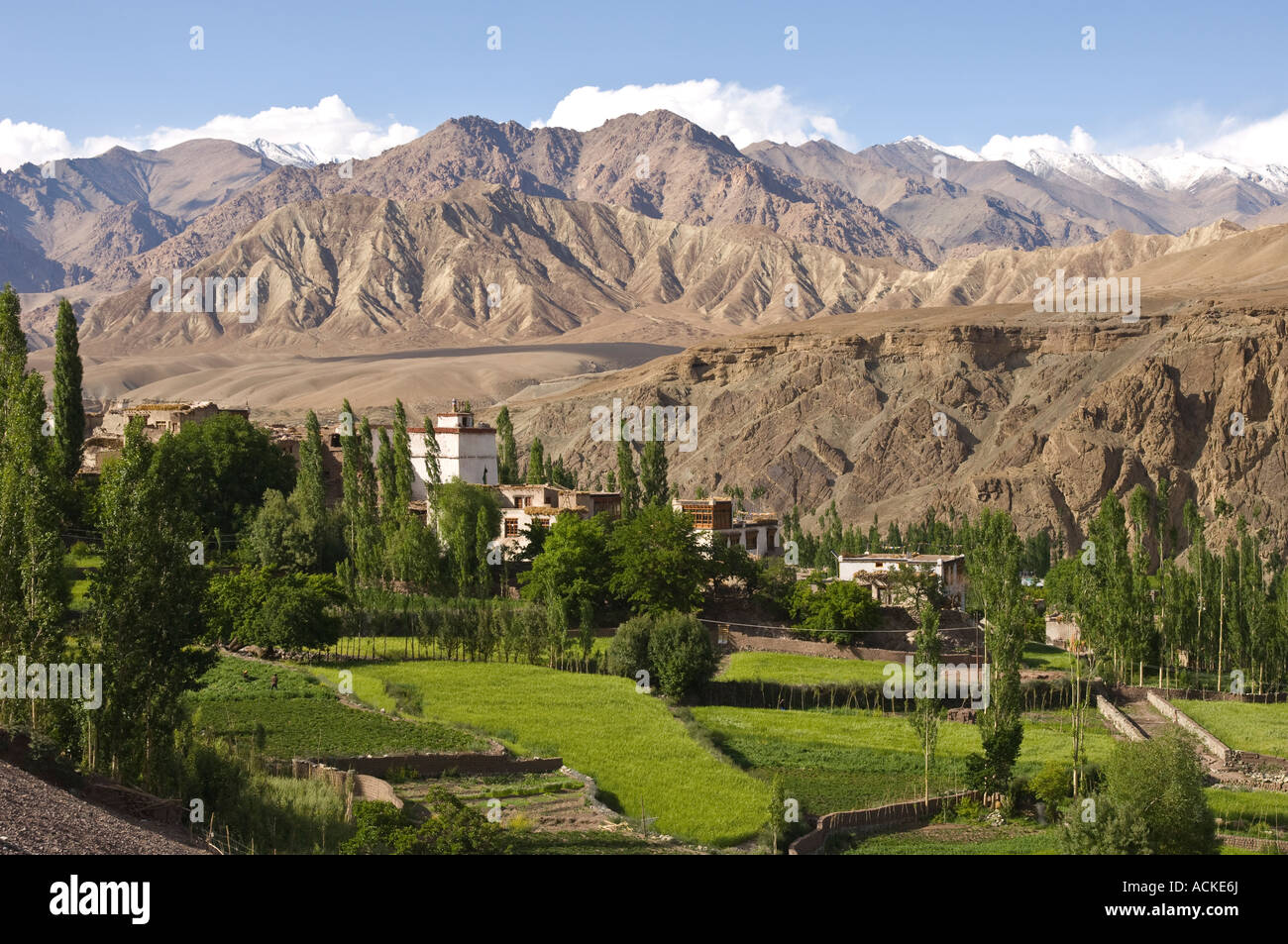 India Himalaya Jammu and Kashmir Ladakh village of Alchi view from afar ...