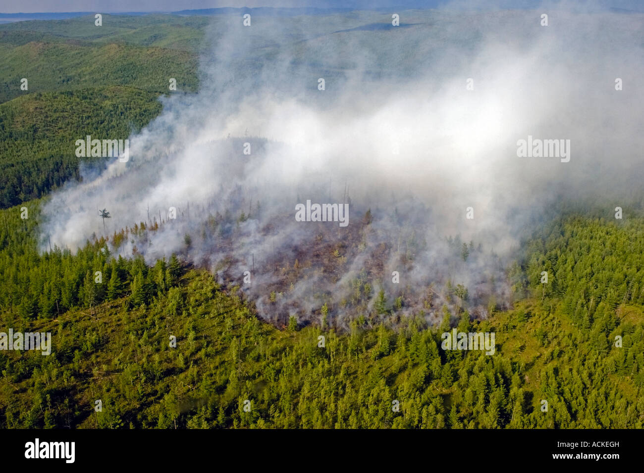 Komsomolsk Russia June 2007 A forest fire in a remote region of the ...