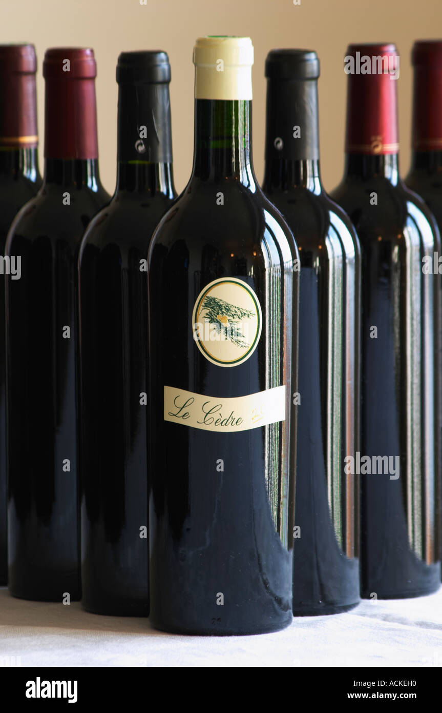 Le Cedre from Chateau du Cedre Cahors Lot Valley France Stock Photo - Alamy