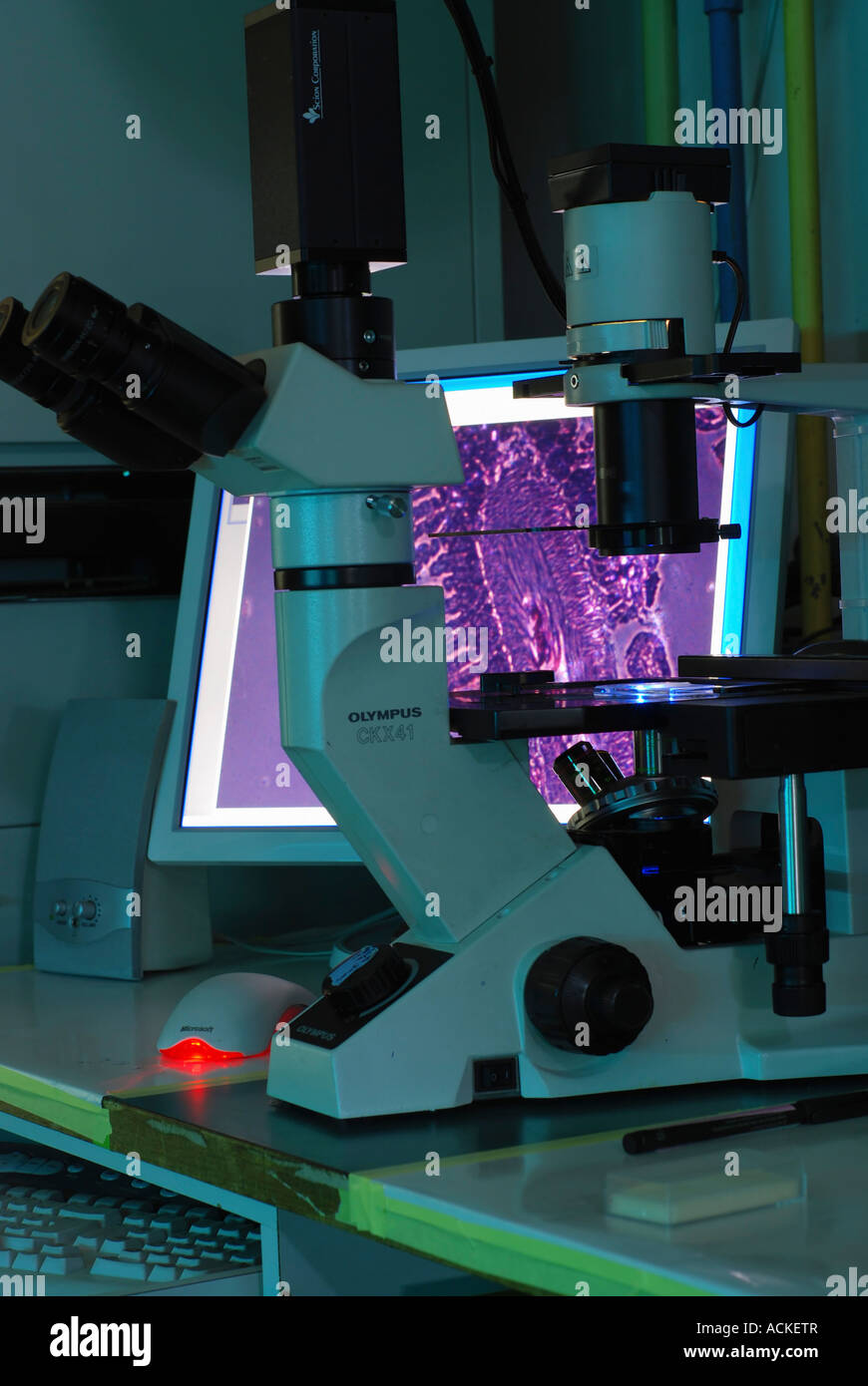 Molecular biology Microscope Stock Photo - Alamy