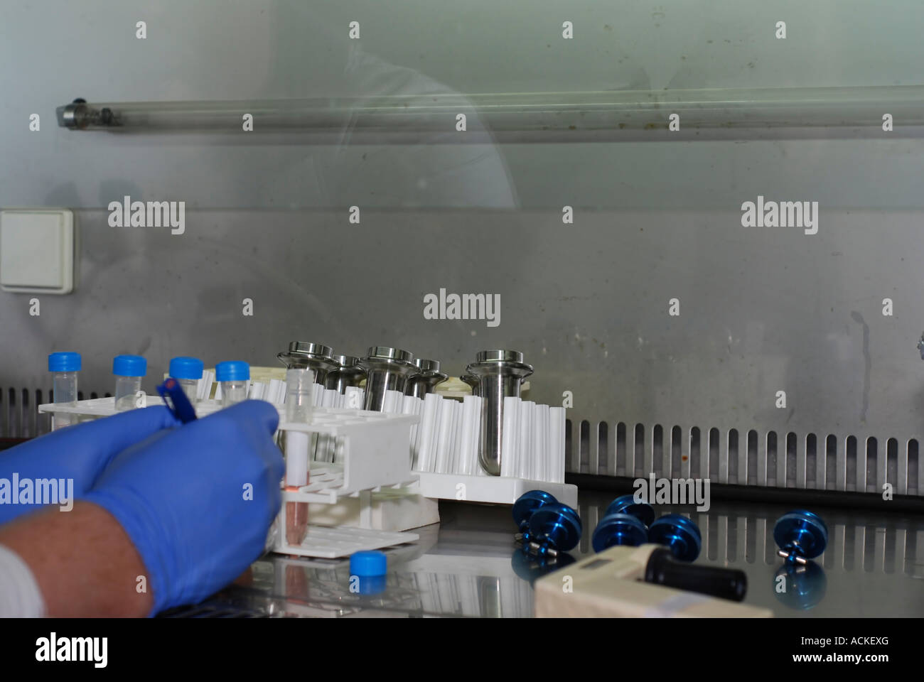 Researcher sampling Viruses under a Biologic hood in a Molecular ...
