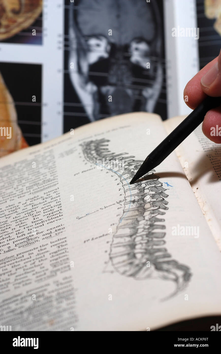 An open Anatomy text book Stock Photo - Alamy