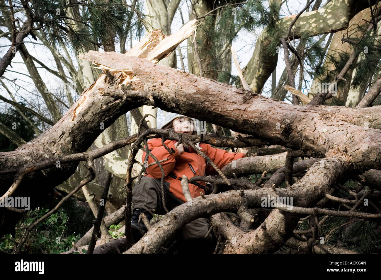 Aged 10 Climbing Trees High Resolution Stock Photography and Images - Alamy