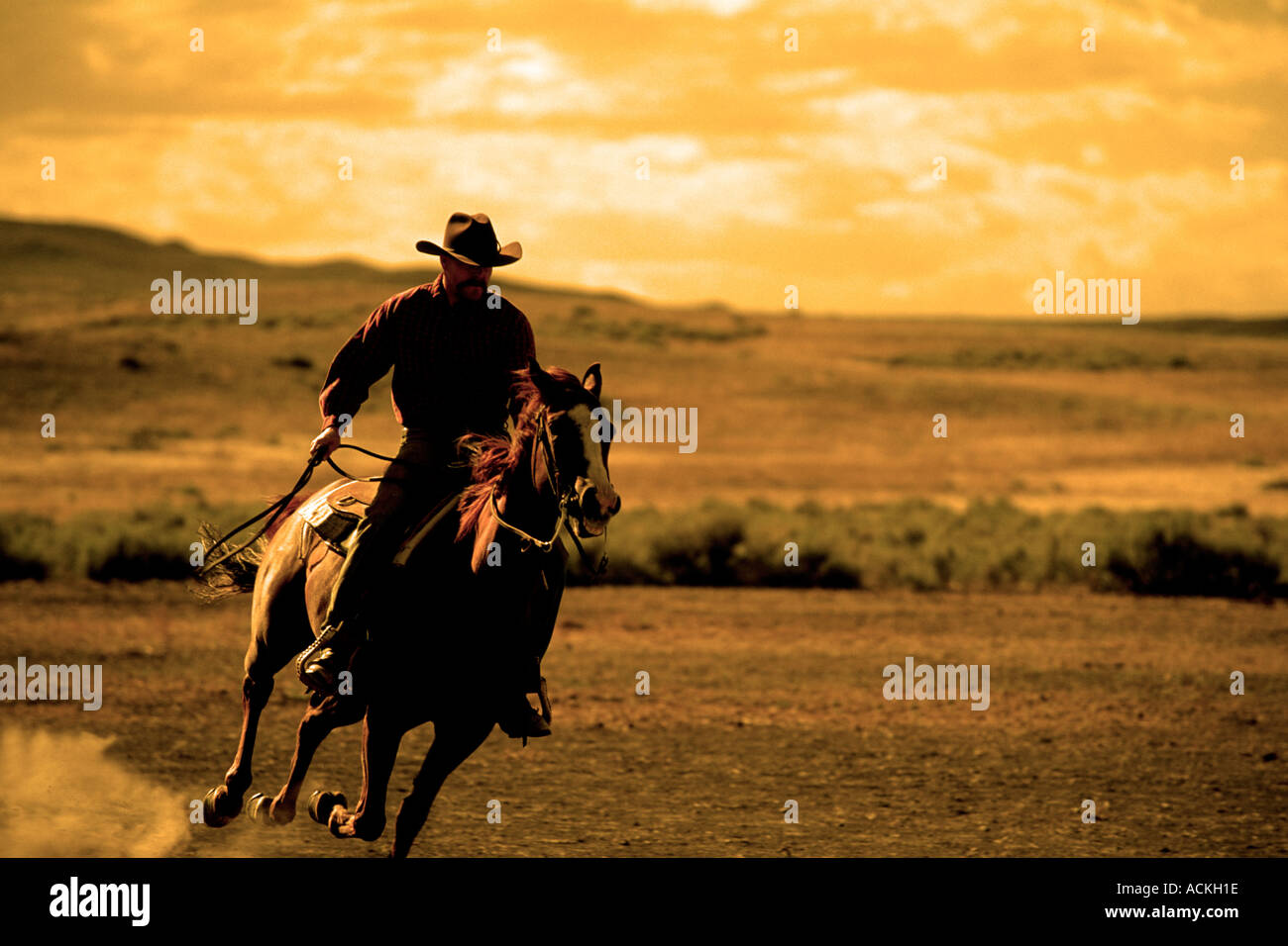 Cowboy Riding Horse Montana Usa Stock Photos & Cowboy Riding Horse ...