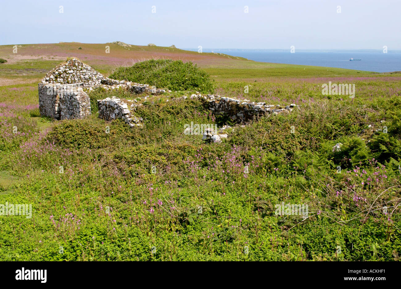 Biodiversity uk building hi-res stock photography and images - Alamy