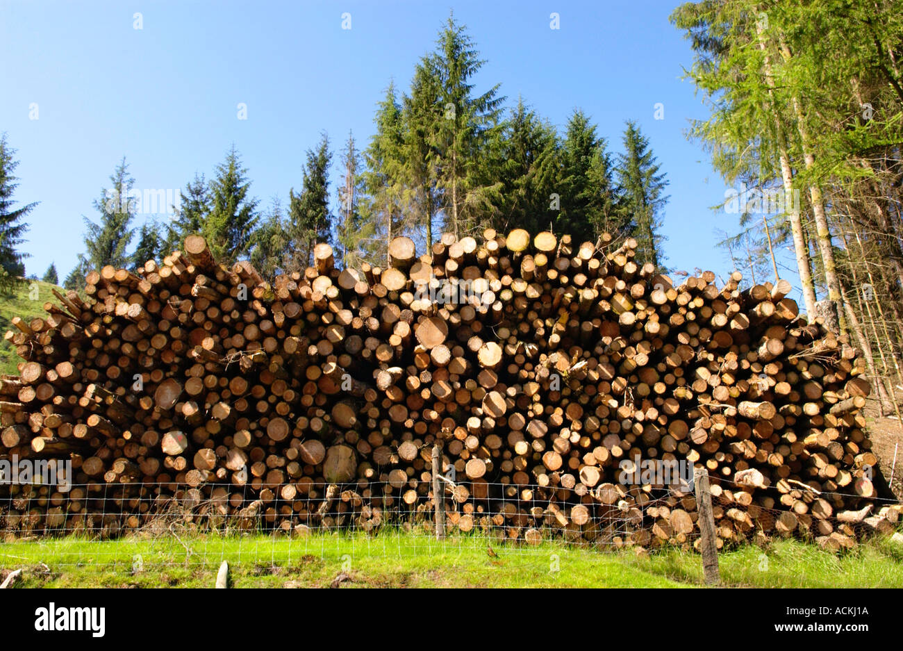 Biodiversity manage hi-res stock photography and images - Alamy