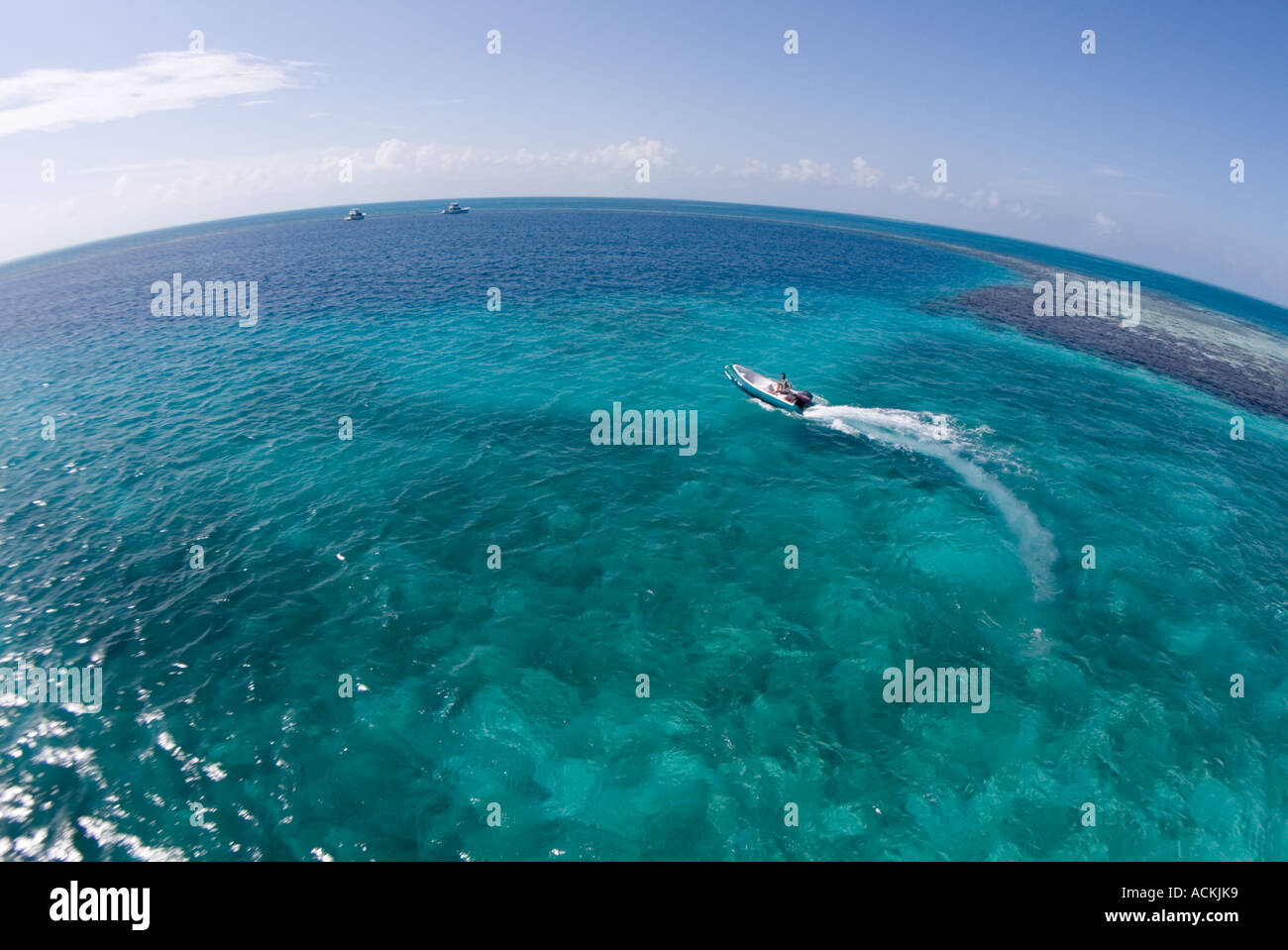 Blue hole belize hi-res stock photography and images - Alamy