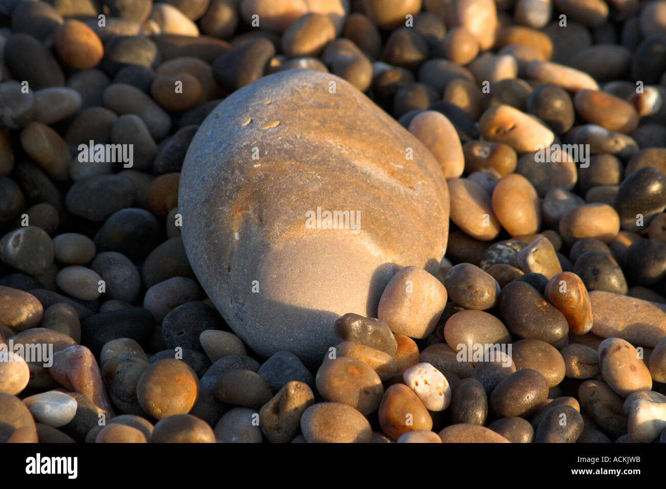 Large pebble on a pebbled beach at Chesil Beach Nr Weymouth Dorset in ...