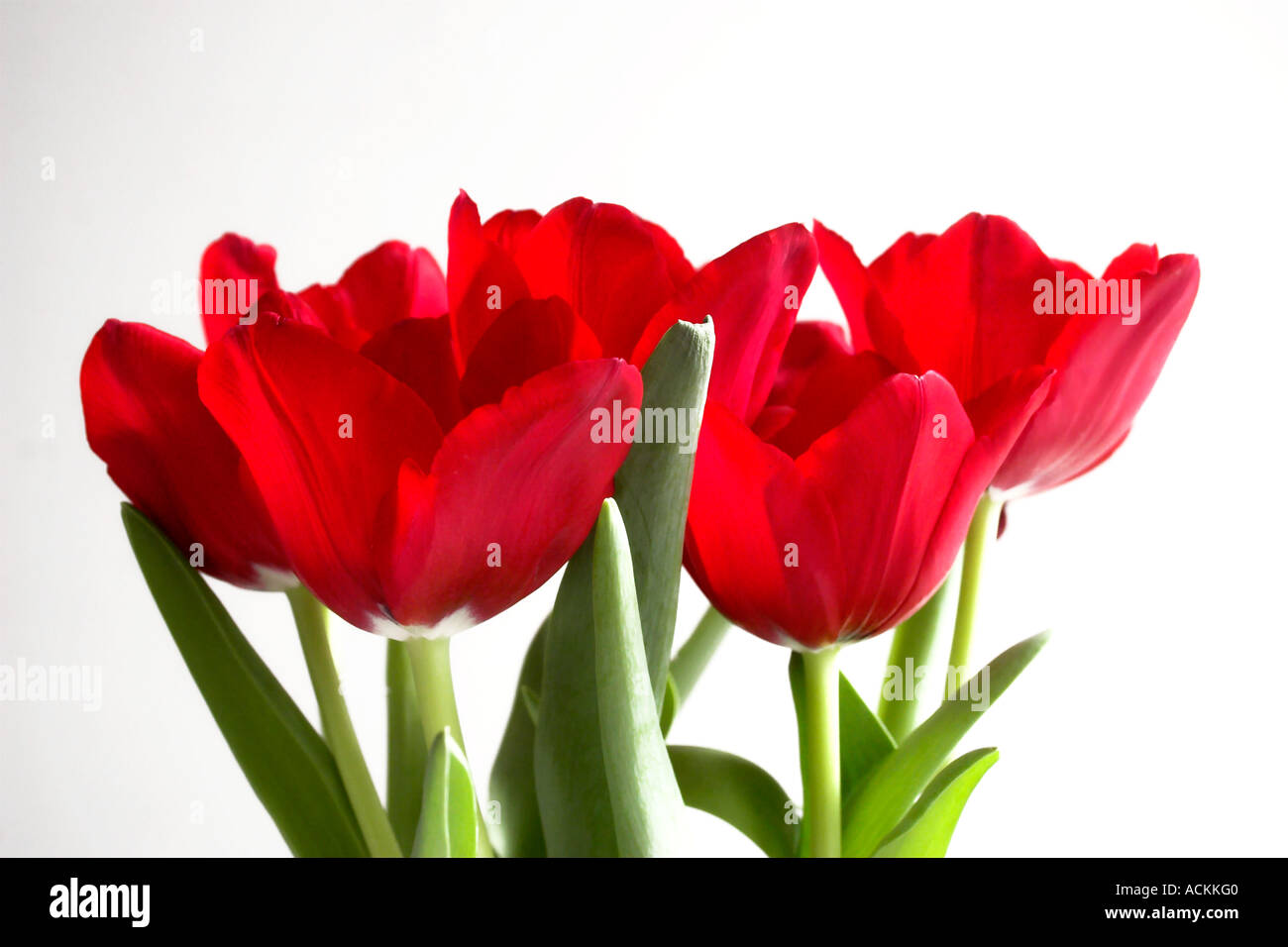 Five red hi-res stock photography and images - Alamy