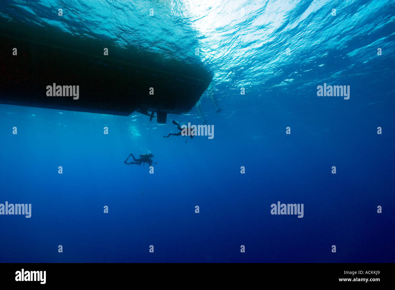Underwater divers hi-res stock photography and images - Alamy