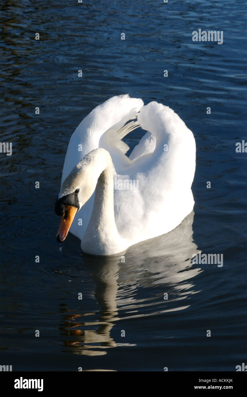 Godstone surrey village hi-res stock photography and images - Alamy