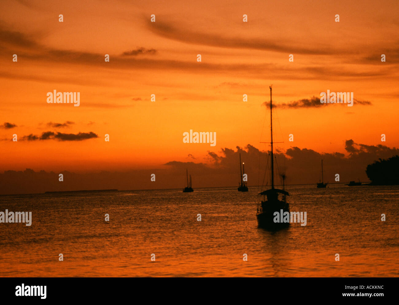 Florida fl key west boats hi-res stock photography and images - Alamy