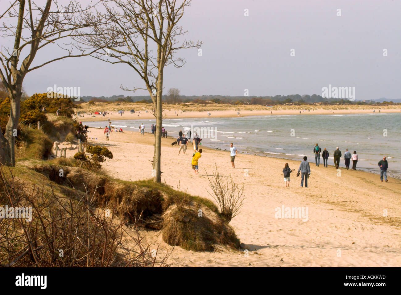 Shell Bay Studland Swanage Dorset England UK Stock Photo - Alamy