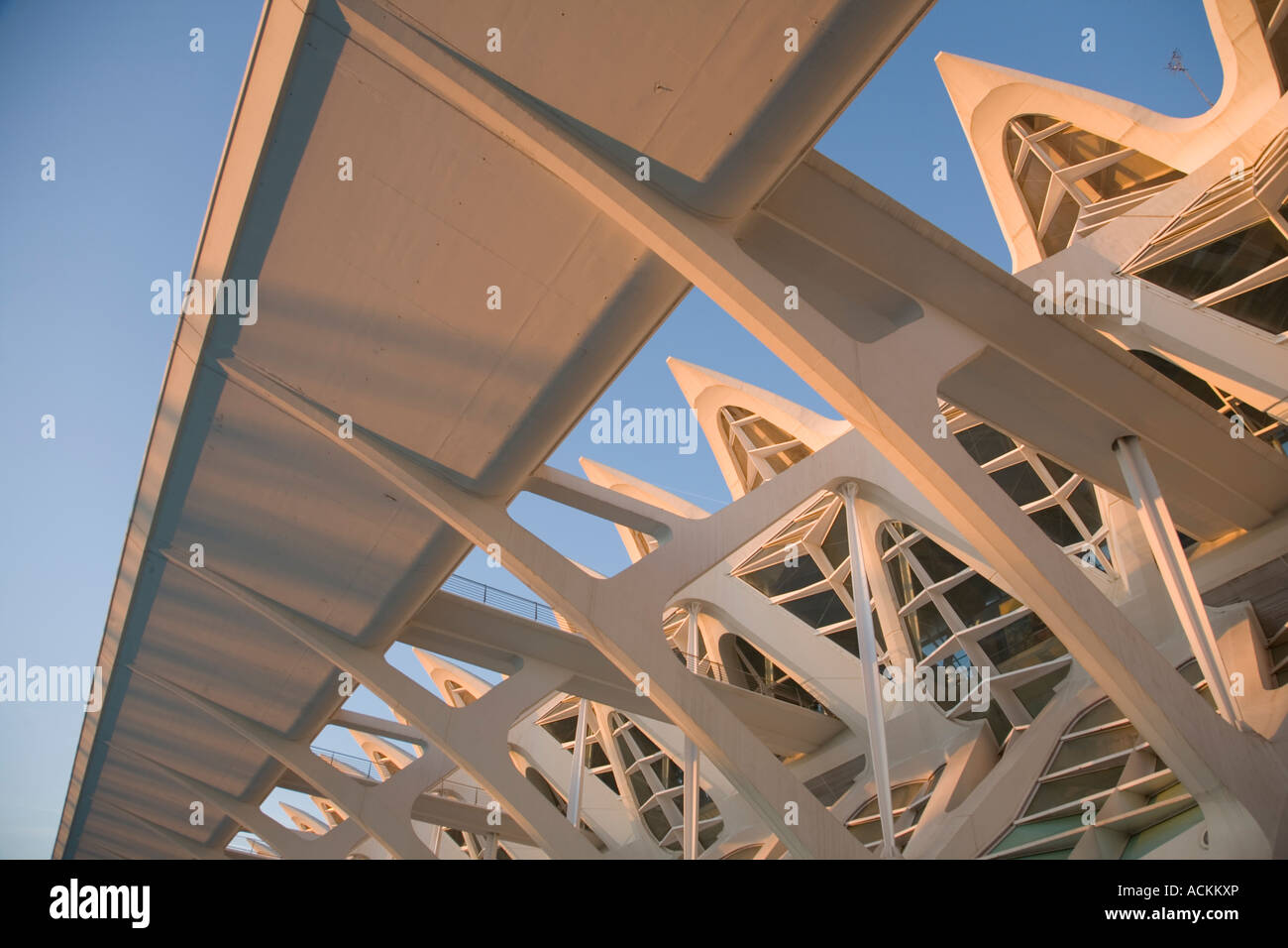 Roof structure of the Museu de les Ciencies, Valencia, Spain Stock ...