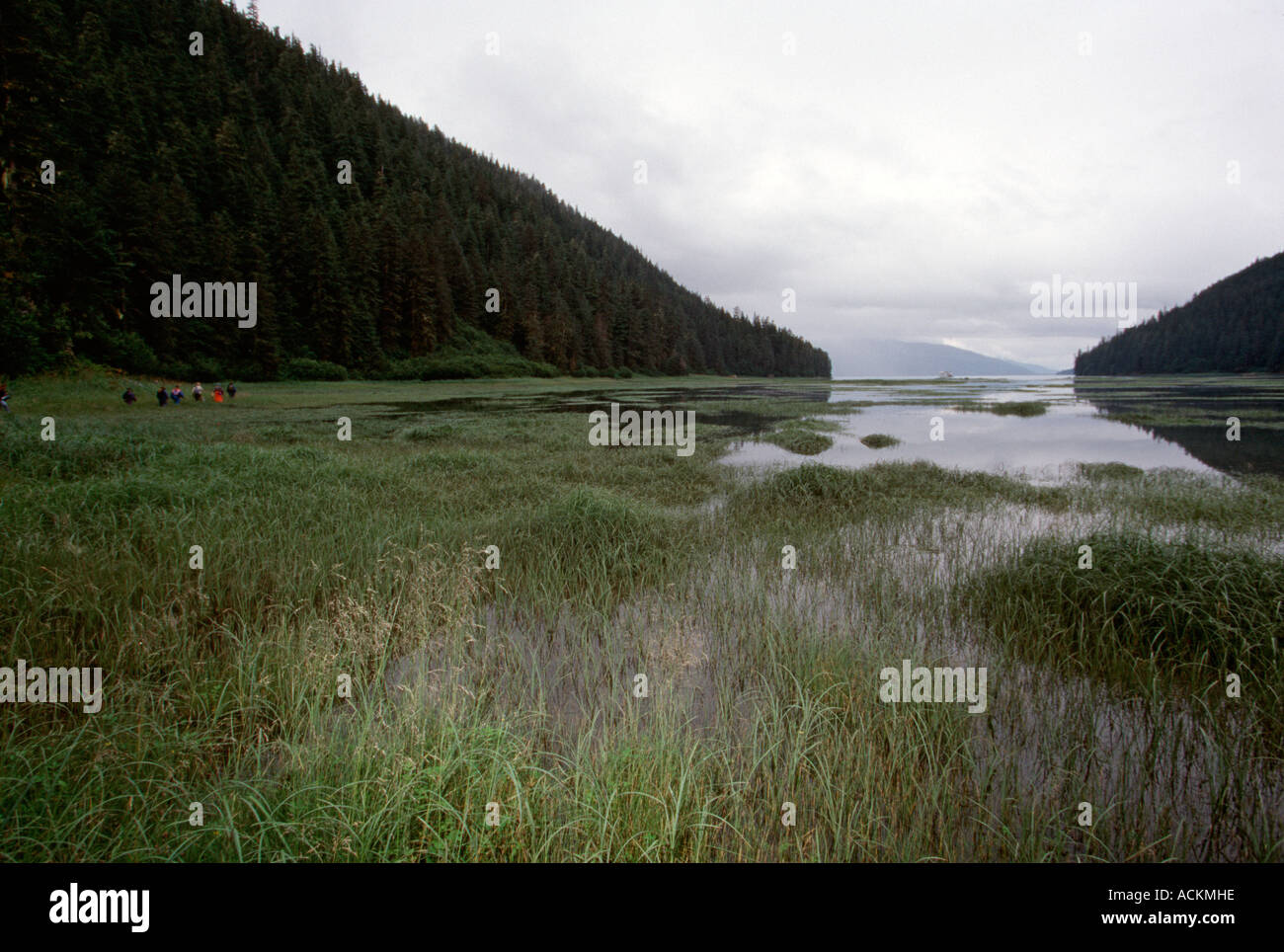 Alaska day hikers from cruise ship hiking inland Stock Photo - Alamy