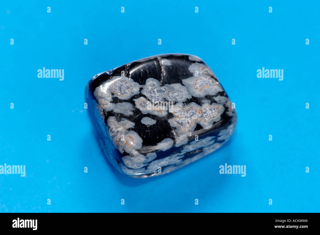Snowflake Obsidian High Resolution Stock Photography and Images - Alamy