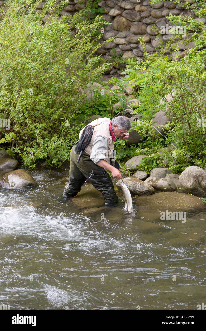 Fisherman catches fish while fly fishing on Little Pigeon River in ...