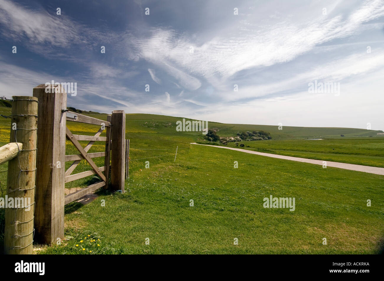 Summer meadow with path leading off into distance and gate Stock Photo ...