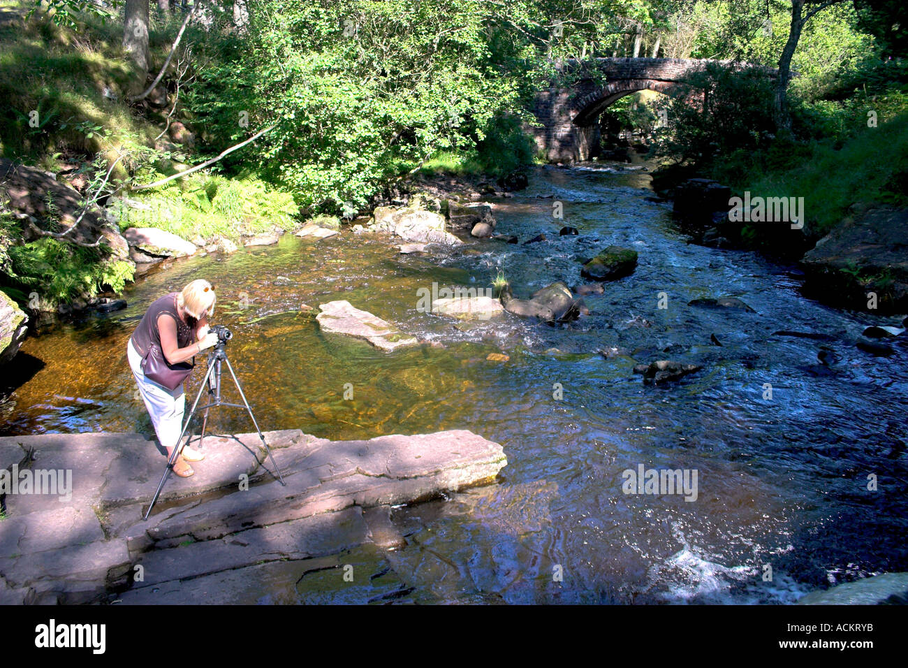 Taf forest pont cwmyfedwen waterfall beacons national park south wales ...