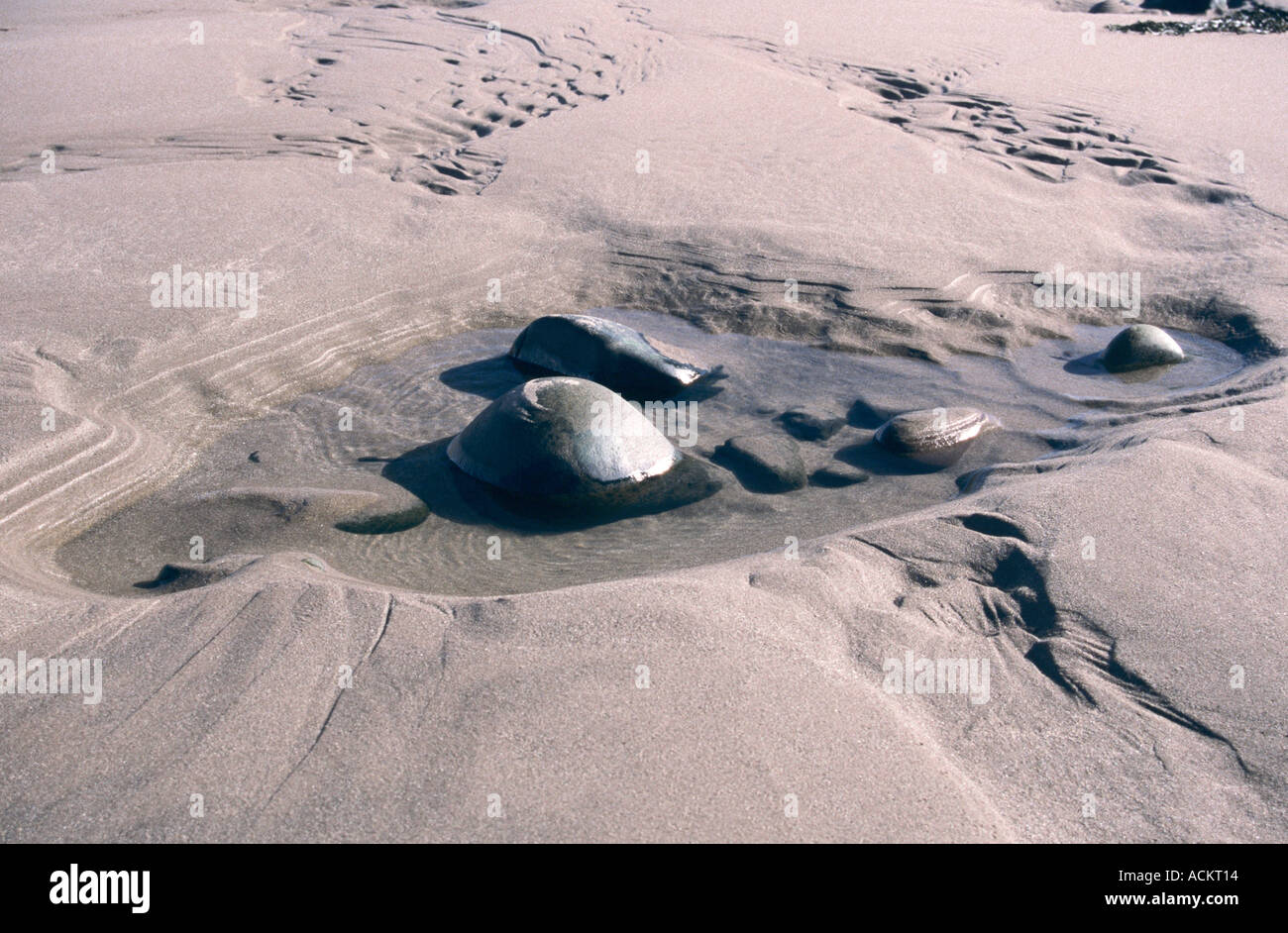 Rock pool on beach Whithorn Scotland Stock Photo - Alamy
