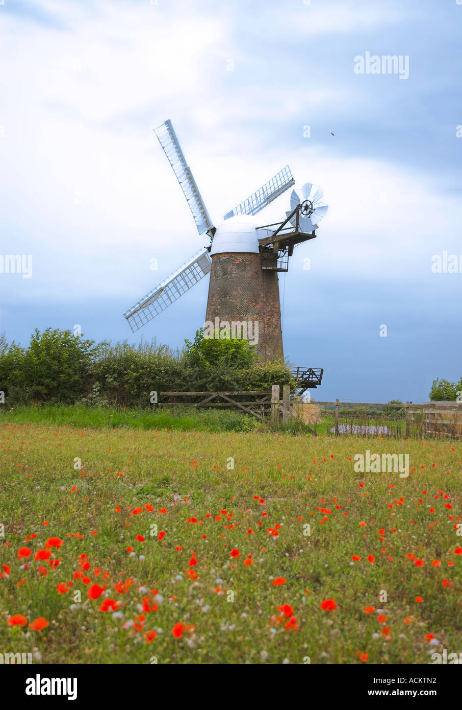 Poppies with windmill hi-res stock photography and images - Alamy
