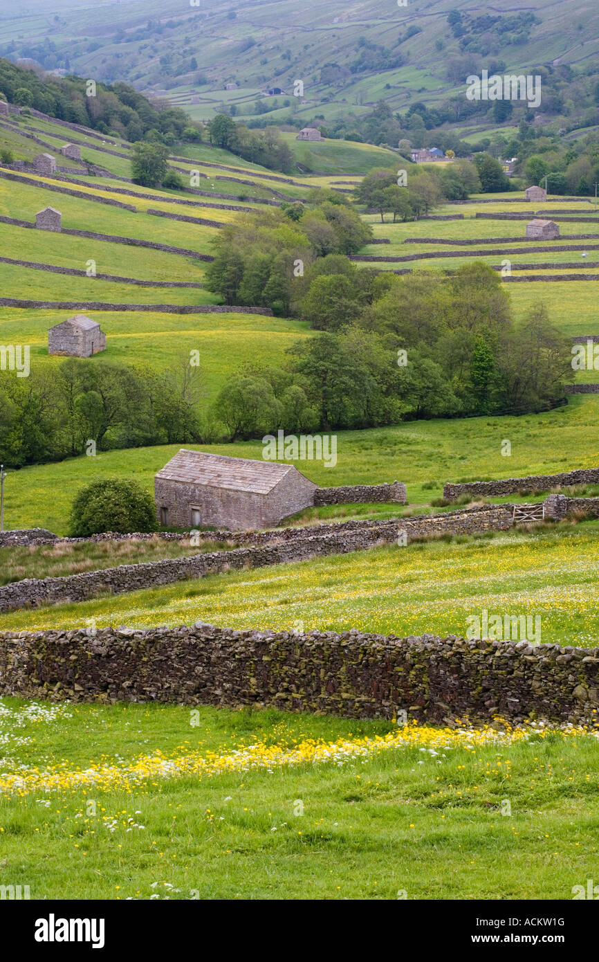 Swaledale Barn, Yorkshire Dales, England Stock Photo - Alamy