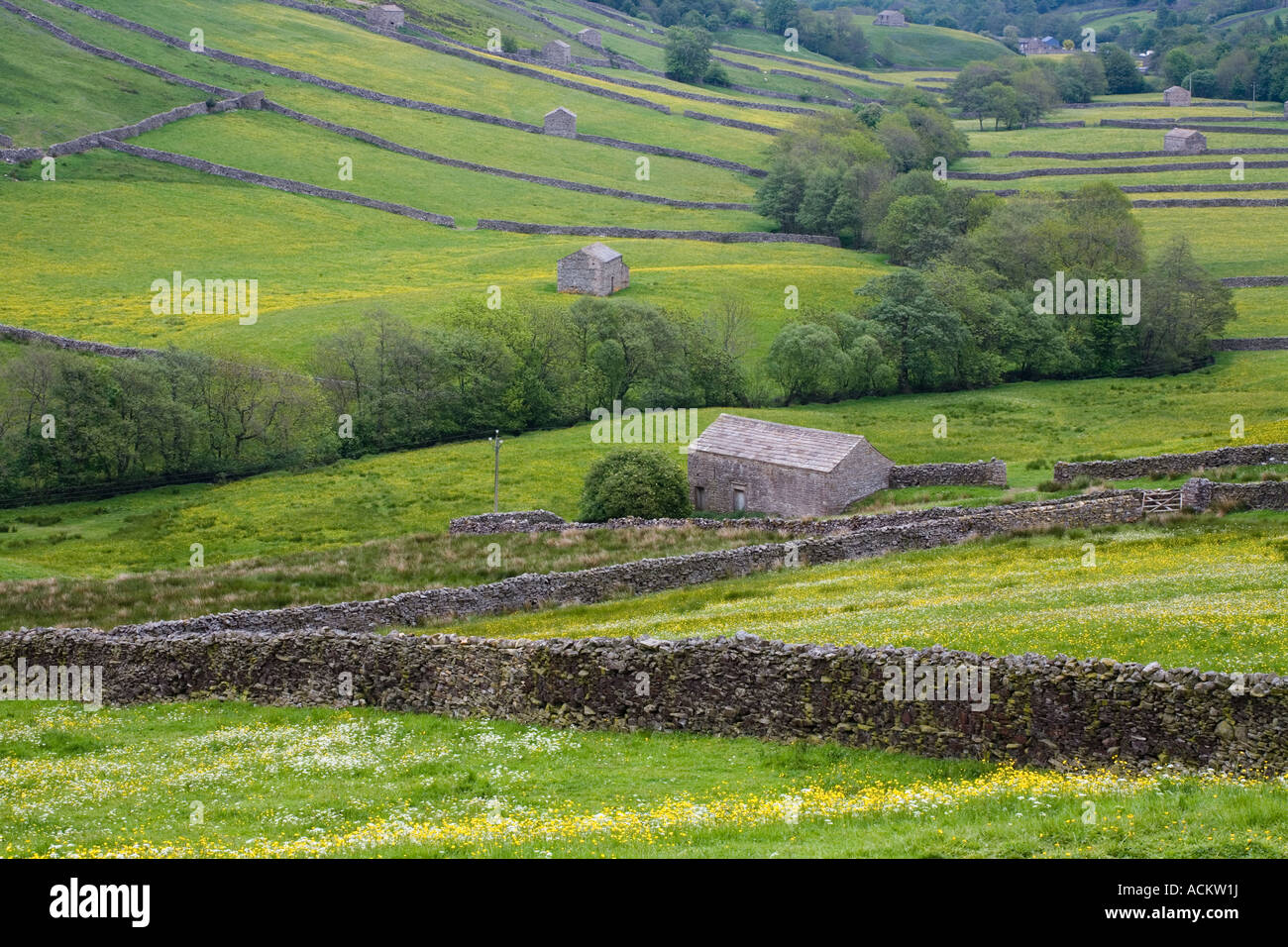 Reeth yorkshire spring hi-res stock photography and images - Alamy